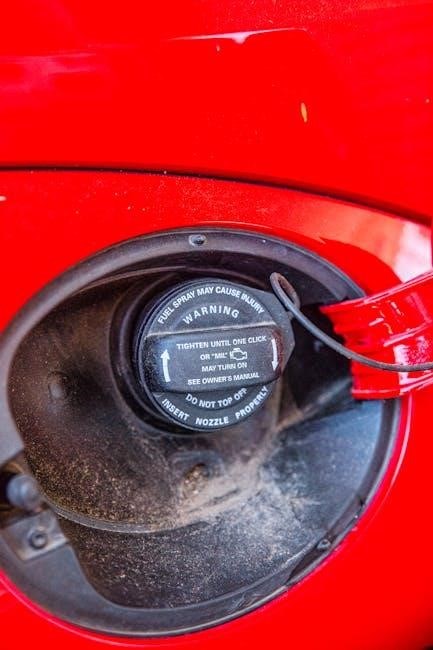 Master FlyNova Pro: Tips, Tricks & Setup Guide | Ashlee Paige